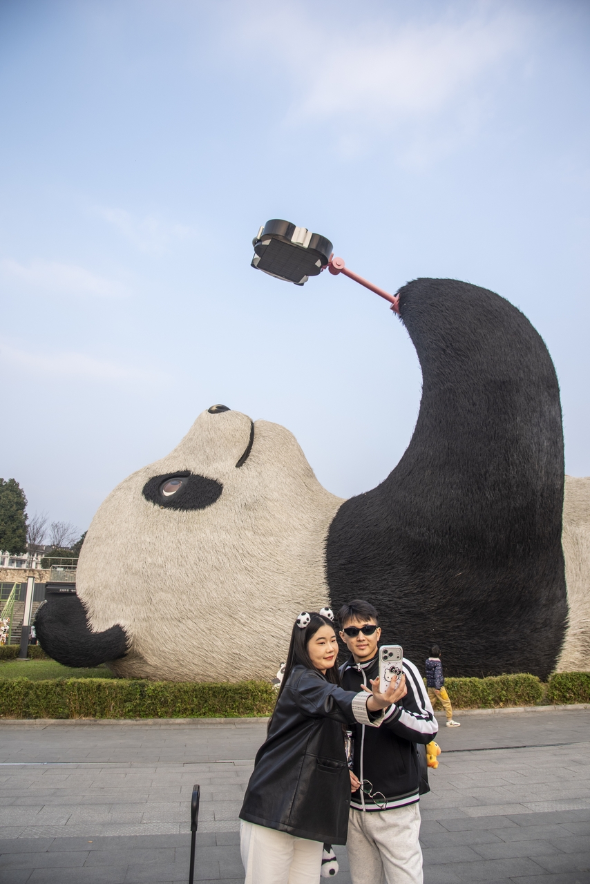 成都市都江堰：“自拍大熊猫”成网红