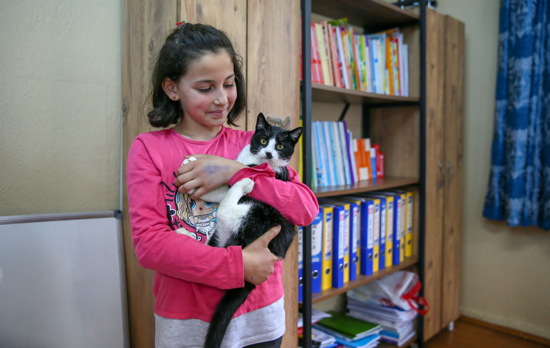 Cat or dog person? It says more than you think