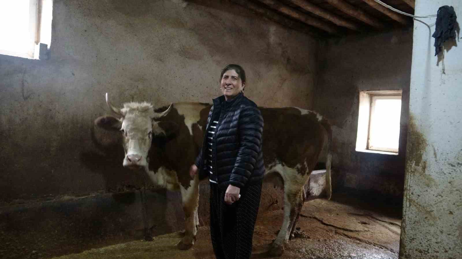 8 erkek adayı geride bırakan kadın muhtar: Hem hayvancılık yapıyor hem ...