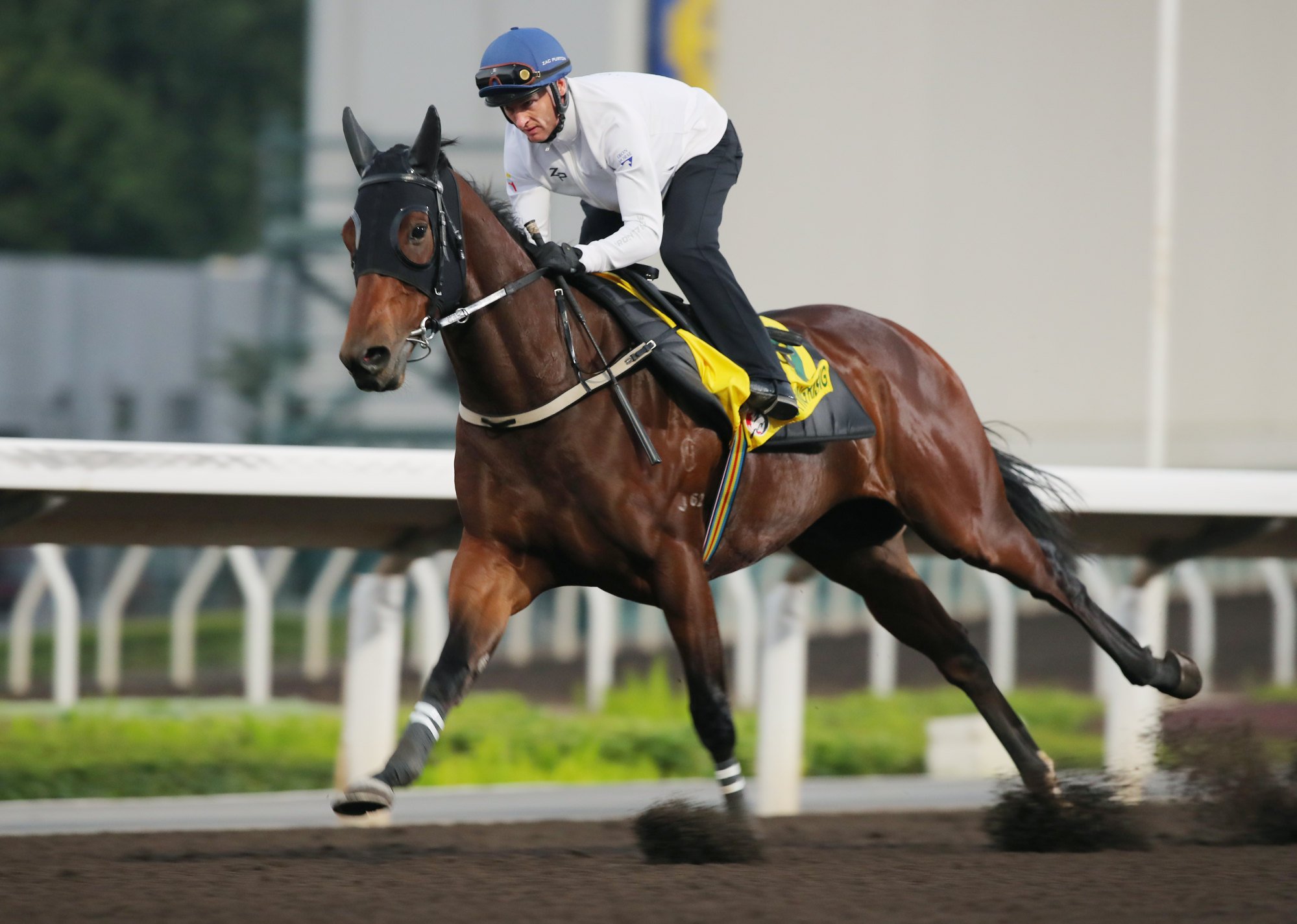 Track record unlikely but Zac Purton still has big expectations for Ka ...