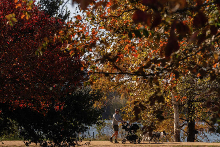 Austin's fall foliage peaks this weekend, running behind schedule. What's the forecast?