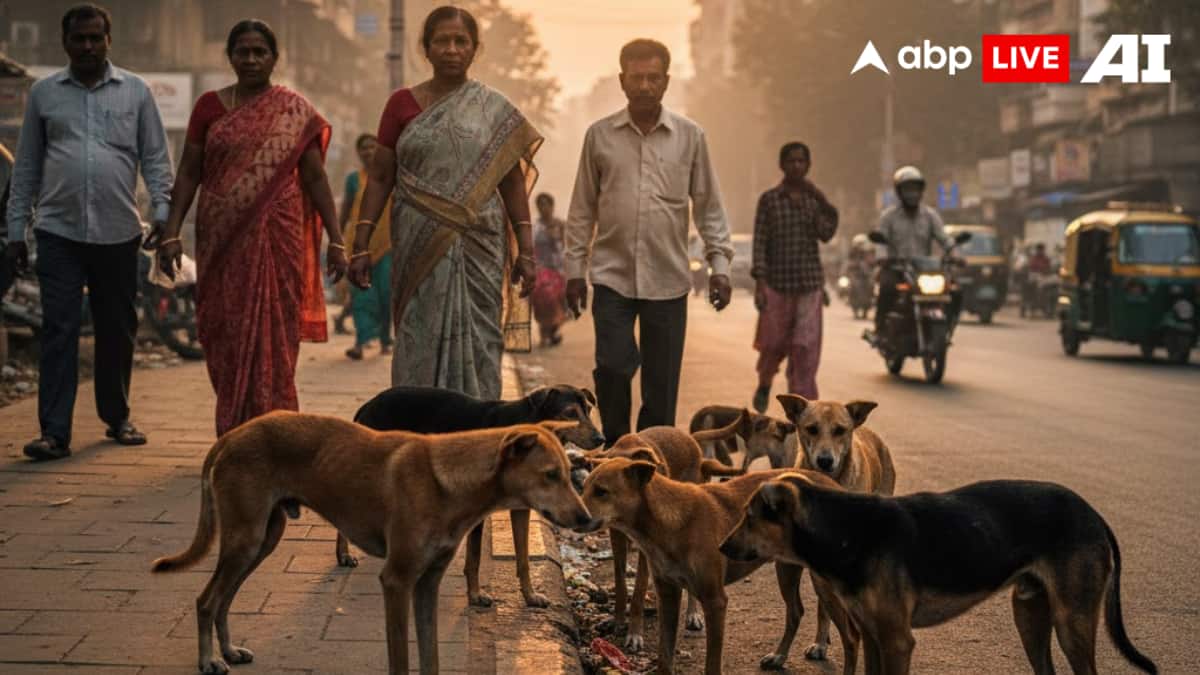 Stray dog attacks surge in Mumbai: Over 1.28 lakh bite cases reported ...