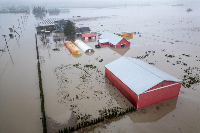 Fear and frustration as floods put Abbotsford, BC., farms under threat ...