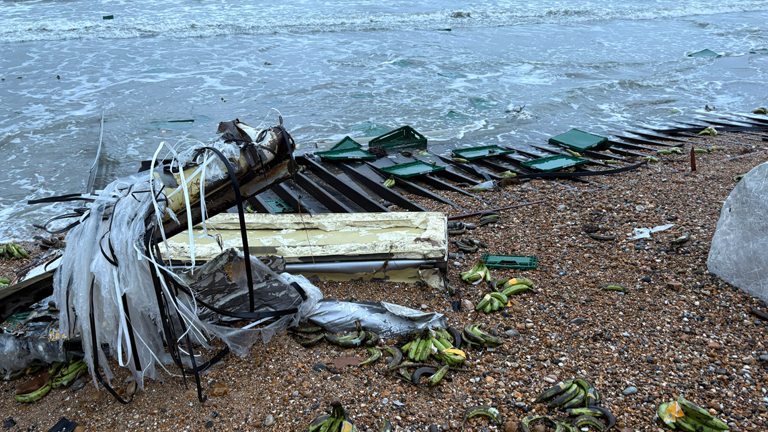 Alert for swimmers over banana containers debris