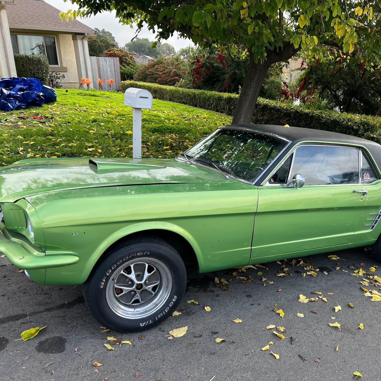 Man accused of operating chop shop and stealing classic cars in Vallejo