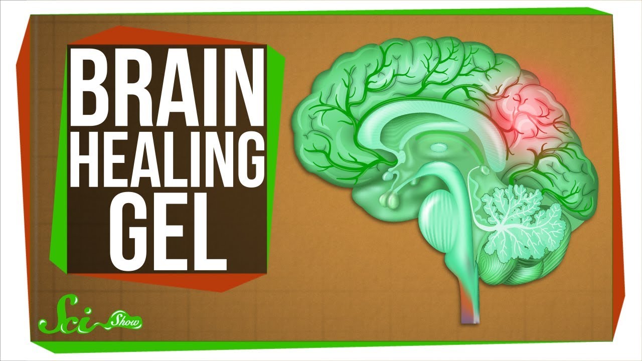 The new gel that regrows brains