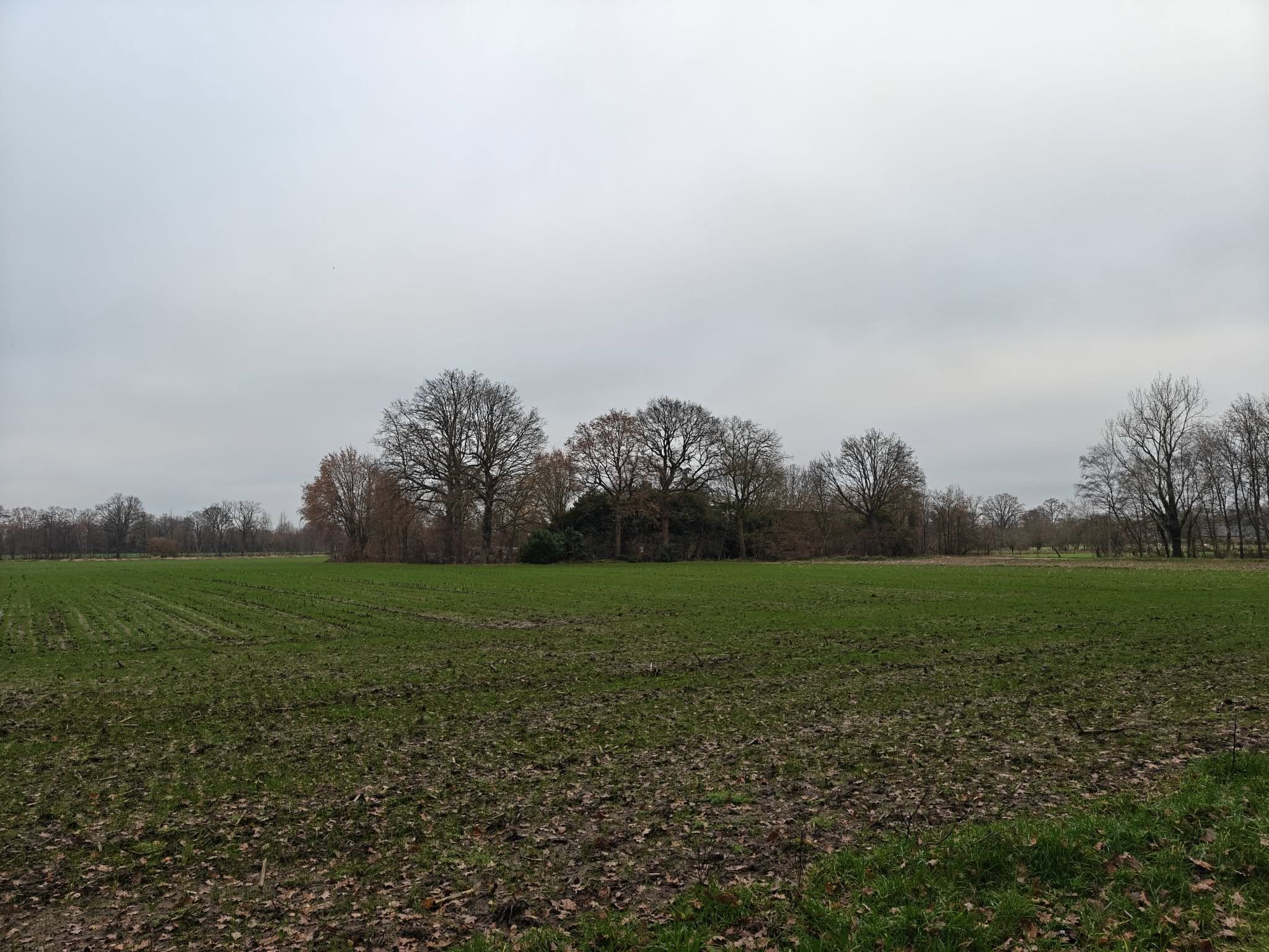 Weerman Samuel ziet wat kouder weer aankomen. Hoe zit het met kerst?