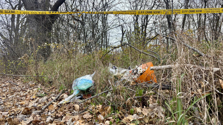 Une adolescente plaide coupable du meurtre d’un jeune de 15 ans à Perth