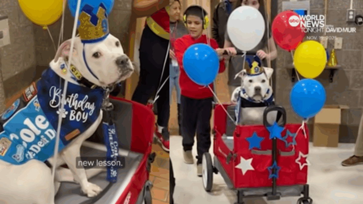 Happy tears as school kids throw the sweetest birthday surprise for ...
