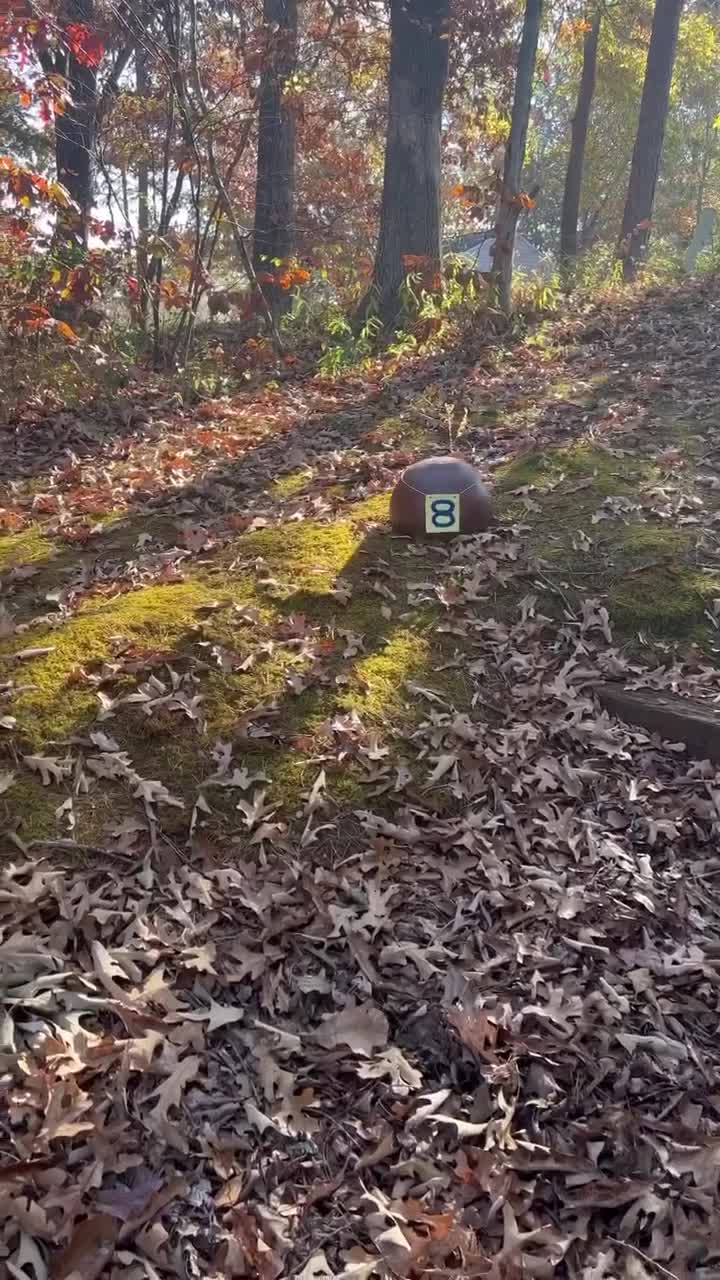 I made Rocky from SpongeBob!