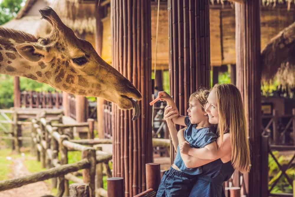 The oldest zoos in the Pacific Northwest and beyond