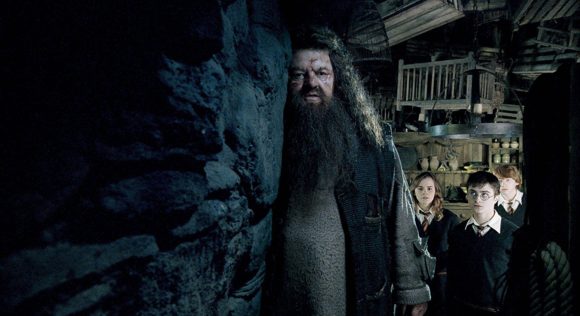 10 Wizarding World characters who grew the most