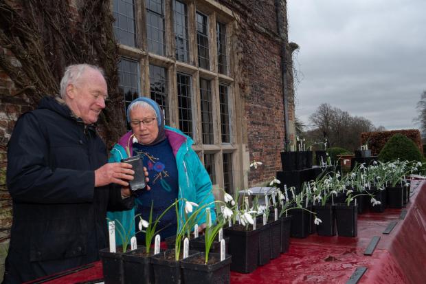 Garden with gnomes, secret bridges and rare ferns awarded Grade II ...