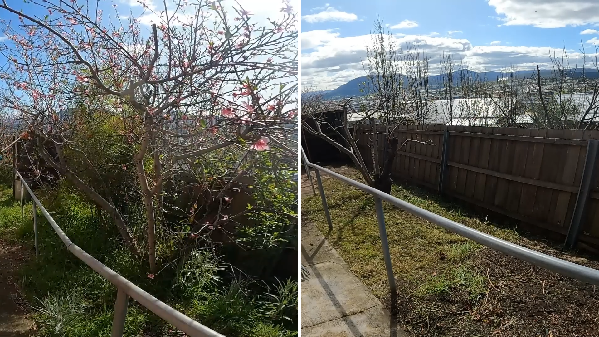 Unbelievable transformation of a neglected yard