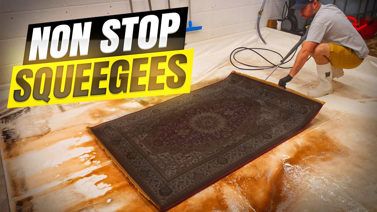 I cleaned a forgotten rug here's what happened!