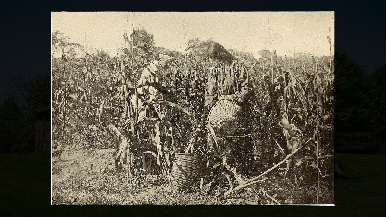 New York’s largest Seneca village was burned in 1687 – its sacred corn ...