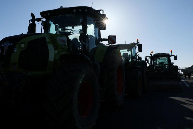 France boosts cattle vaccination against lumpy skin disease as farmers ...