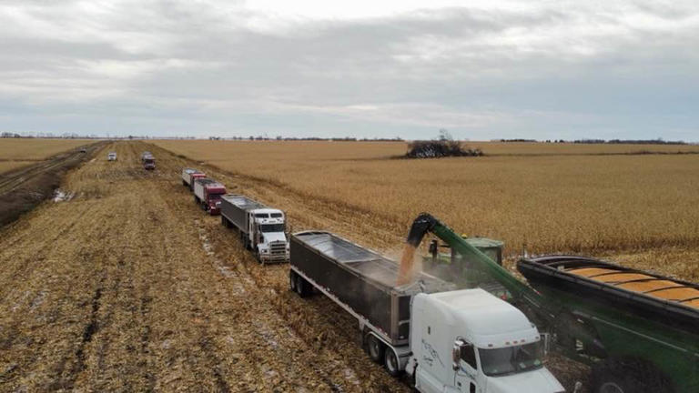 Community rescues grieving North Dakota widow — by harvesting their ...