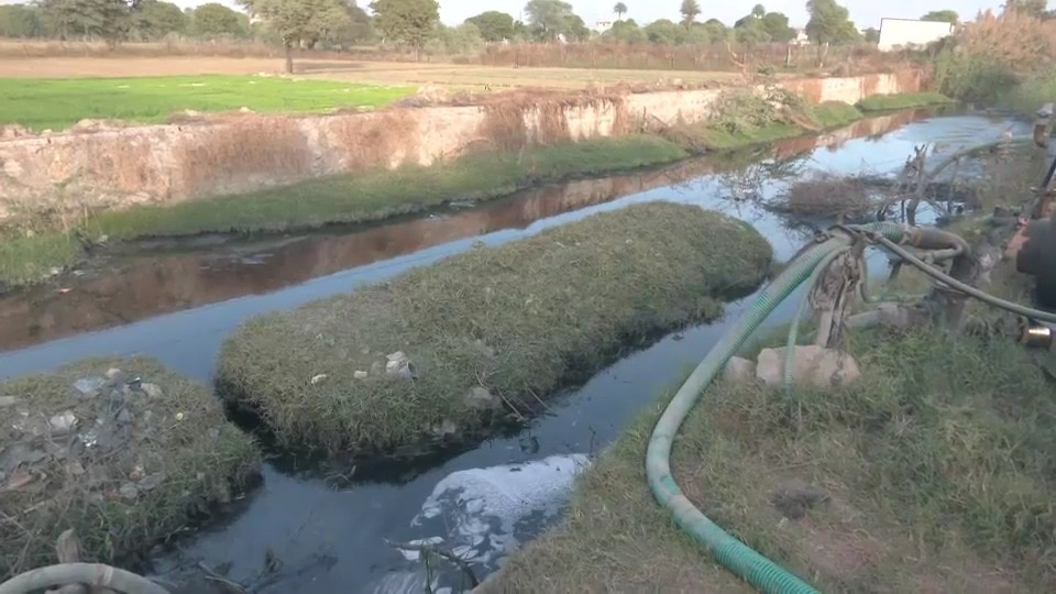 From factories to fields: How toxic water is harming crops in Jaipur