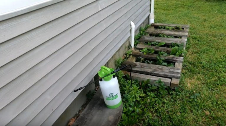 Is Harbor Freight's budget-friendly weed sprayer worth buying? Here's ...