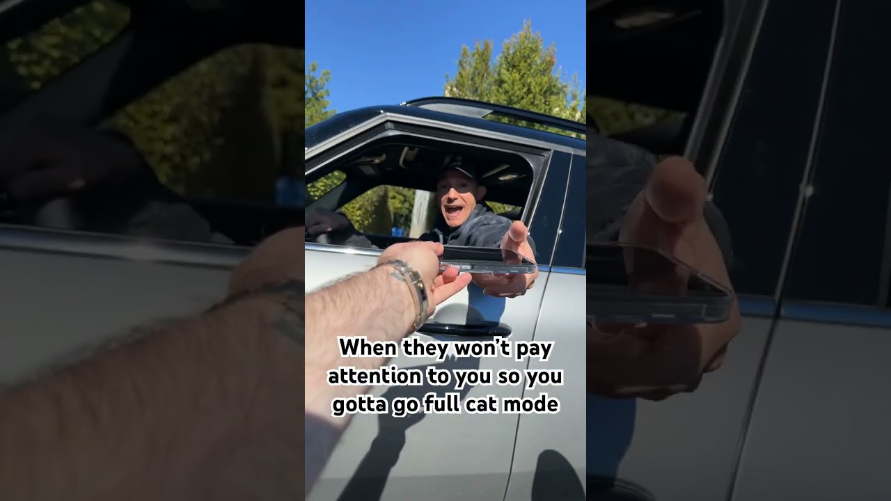 Watch hilarious chaos when a cat-loving boyfriend acts like a cat