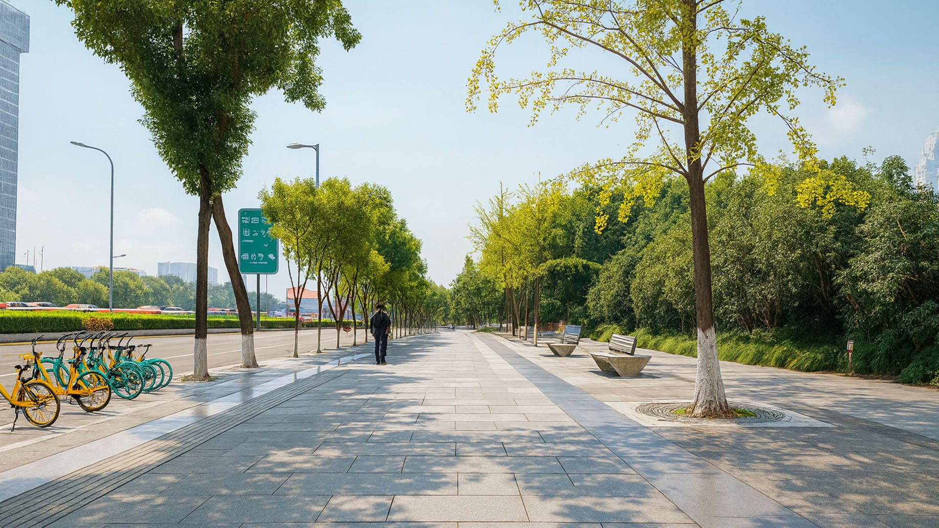 Vélos, arbres et tranquillité en ville