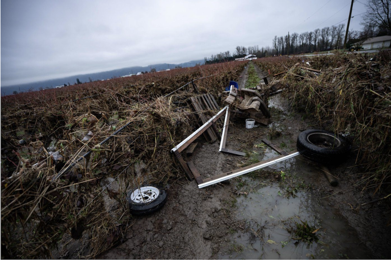 BC gets a break — but more rain looms for flood-hit Fraser Valley