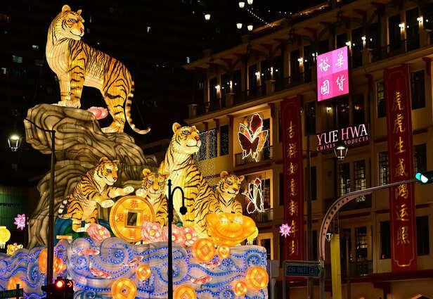 Siberian tigers are disappearing: Here’s what’s killing them
