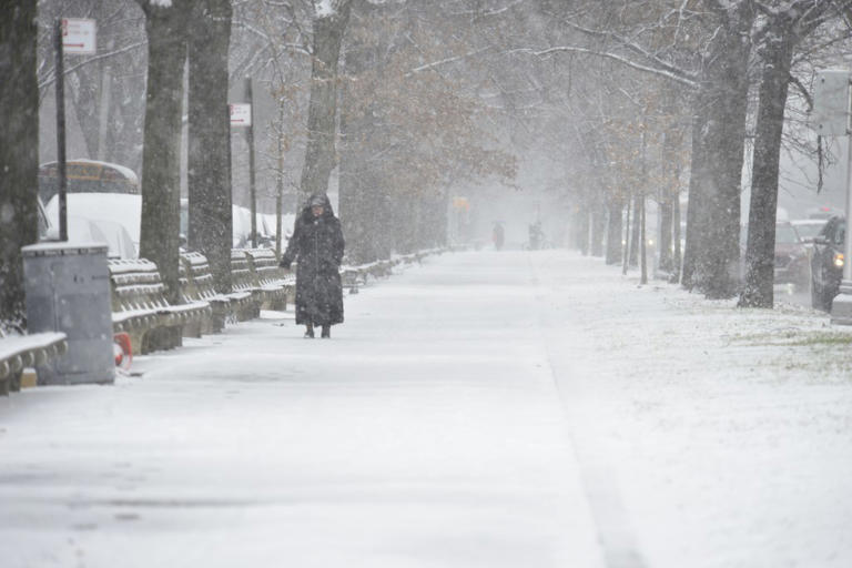 Let it snow! NYC could see first winter coating with weekend storm ...