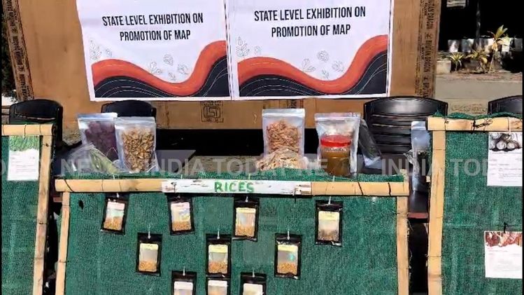 Manipur's Kangpokpi host capacity-building programme, highlighting ...