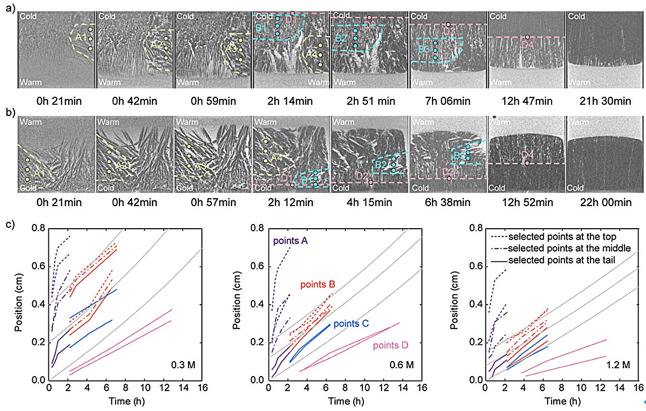 Freezing salty water reveals dynamic brine migration and evolving ice ...