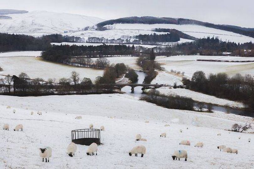 Snow maps show up 23 inches as Met Office warns of deep drifts across UK