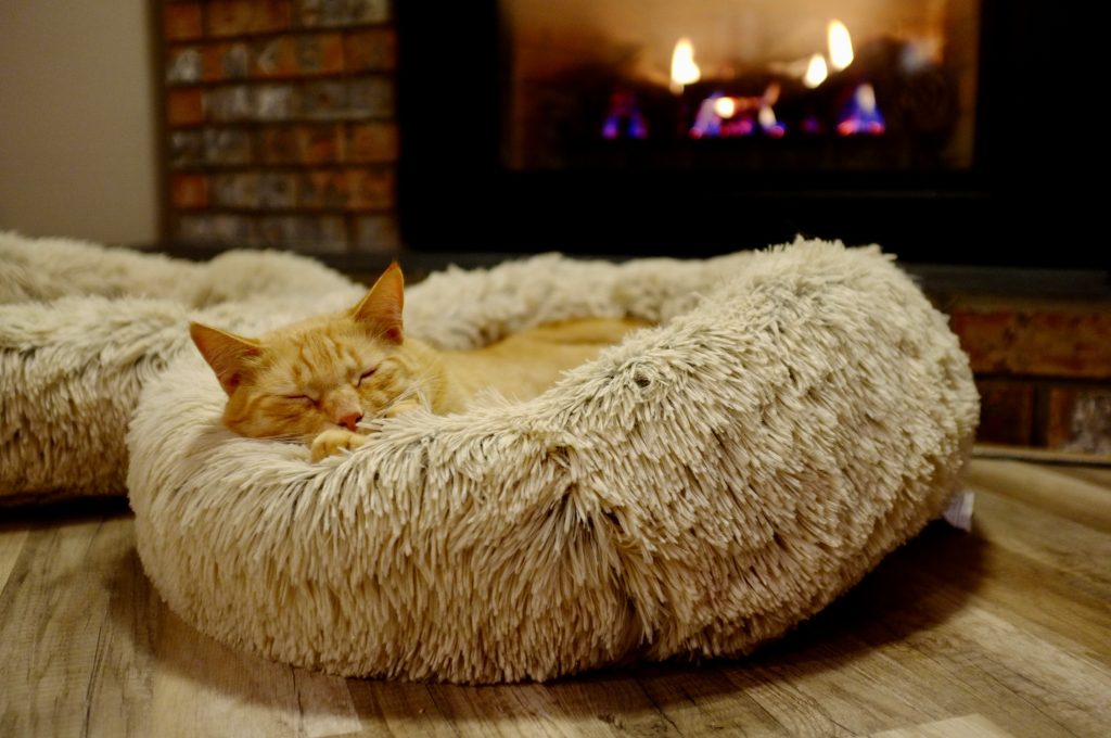 Uses for old towels that aren’t just cleaning rags