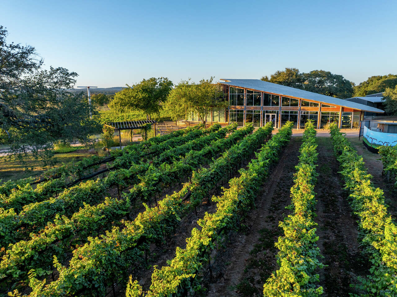 'World-class': Texas winery earns spot among the best in the world