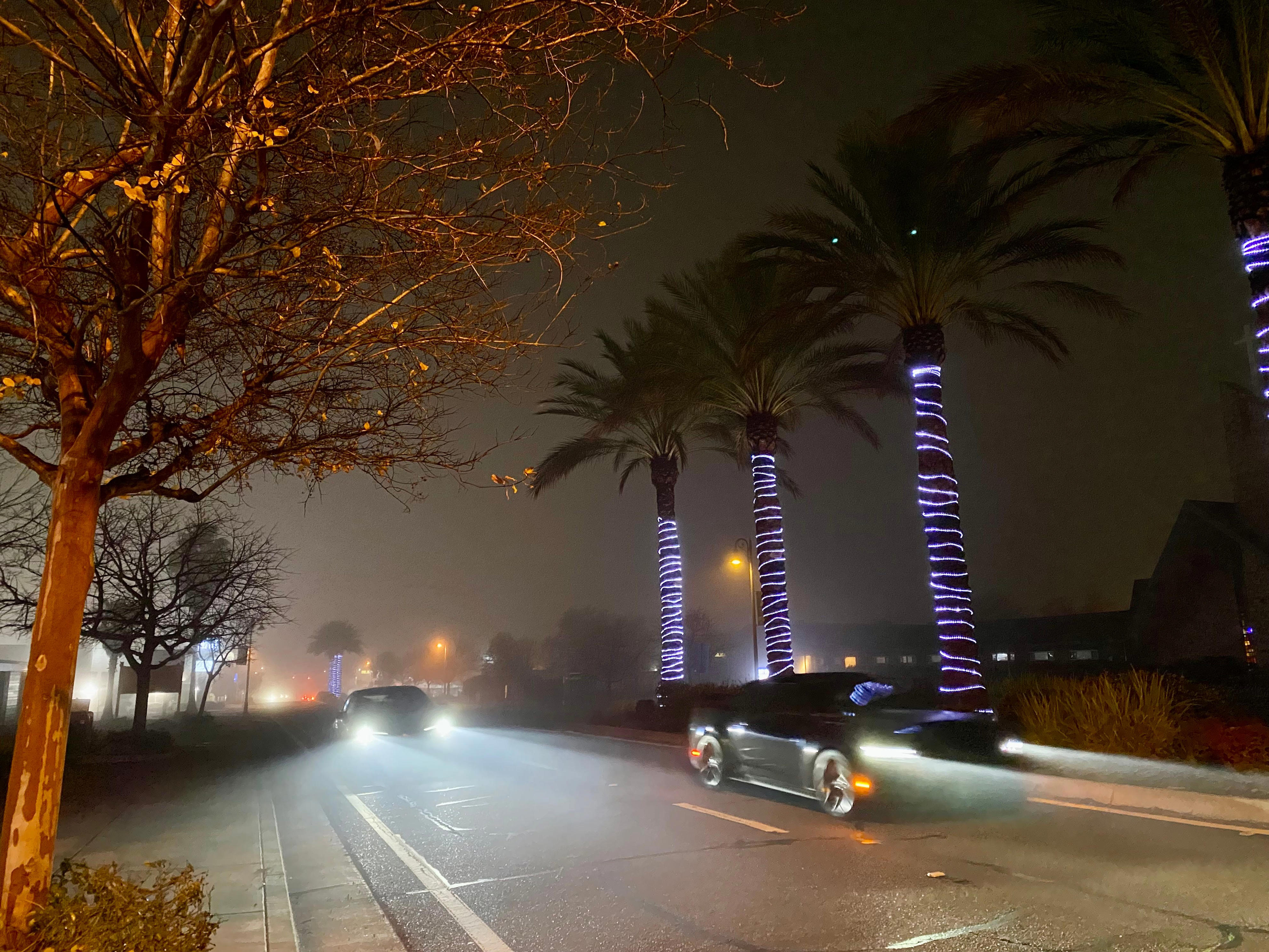 Persistent tule fog blankets California’s Central Valley