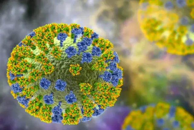 Confirman caso de contagio del virus H3N2 en México, el primero en ...