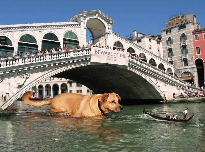 Contestants from a Photoshop challenge put exaggerated objects in ...