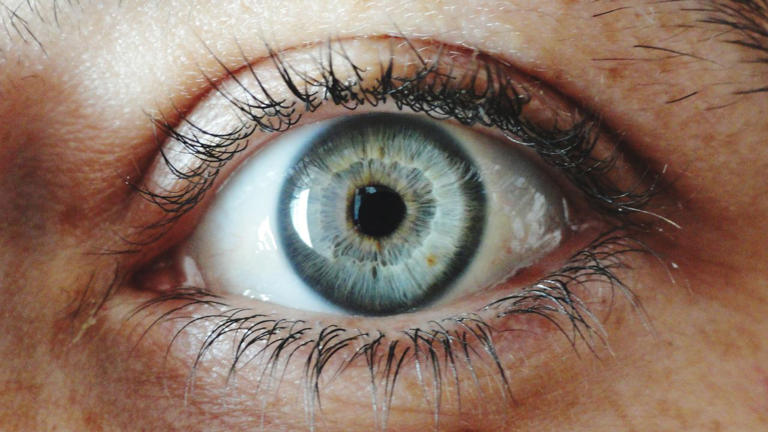 Discover the rarest eye colors in the US