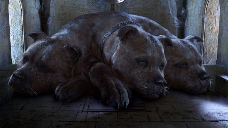 Harry Potter: Hagrid's pets and creature friends ranked by likability
