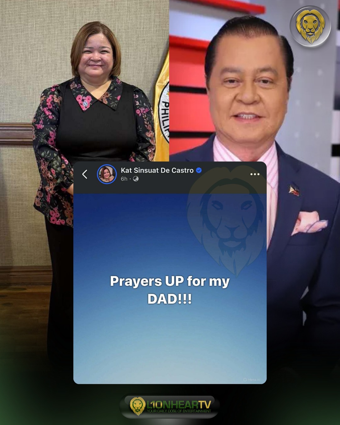 Former vice president Noli de Castro undergoes surgery, daughter says ...