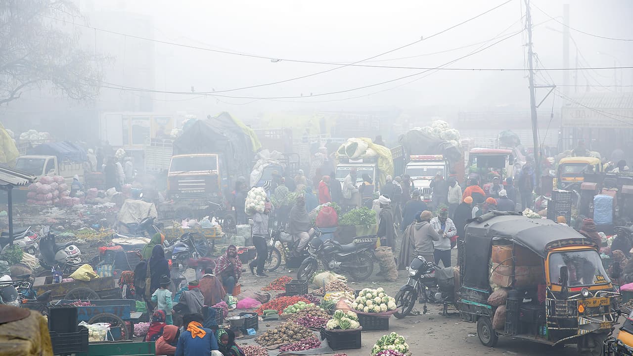 India in 'Goldilocks' moment with low inflation, resilient growth