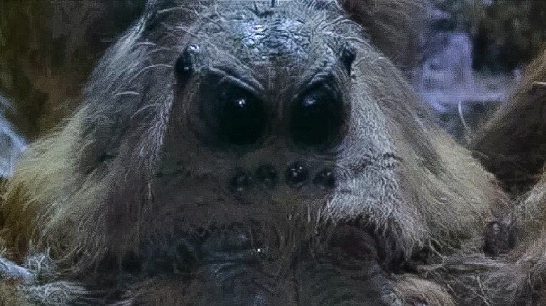 Harry Potter: Hagrid's pets and creature friends ranked by likability