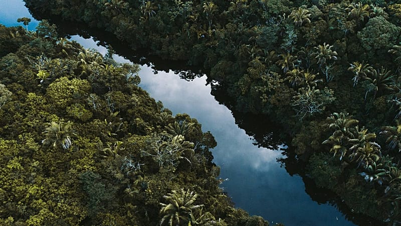 Amazzonia rischia clima ipertropicale entro il 2100 per siccità roventi ...