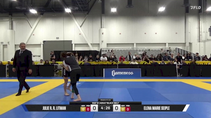 Elena Marie Seiple vs Julie R R Litman 2025 World IBJJF Jiu-Jitsu No-Gi ...