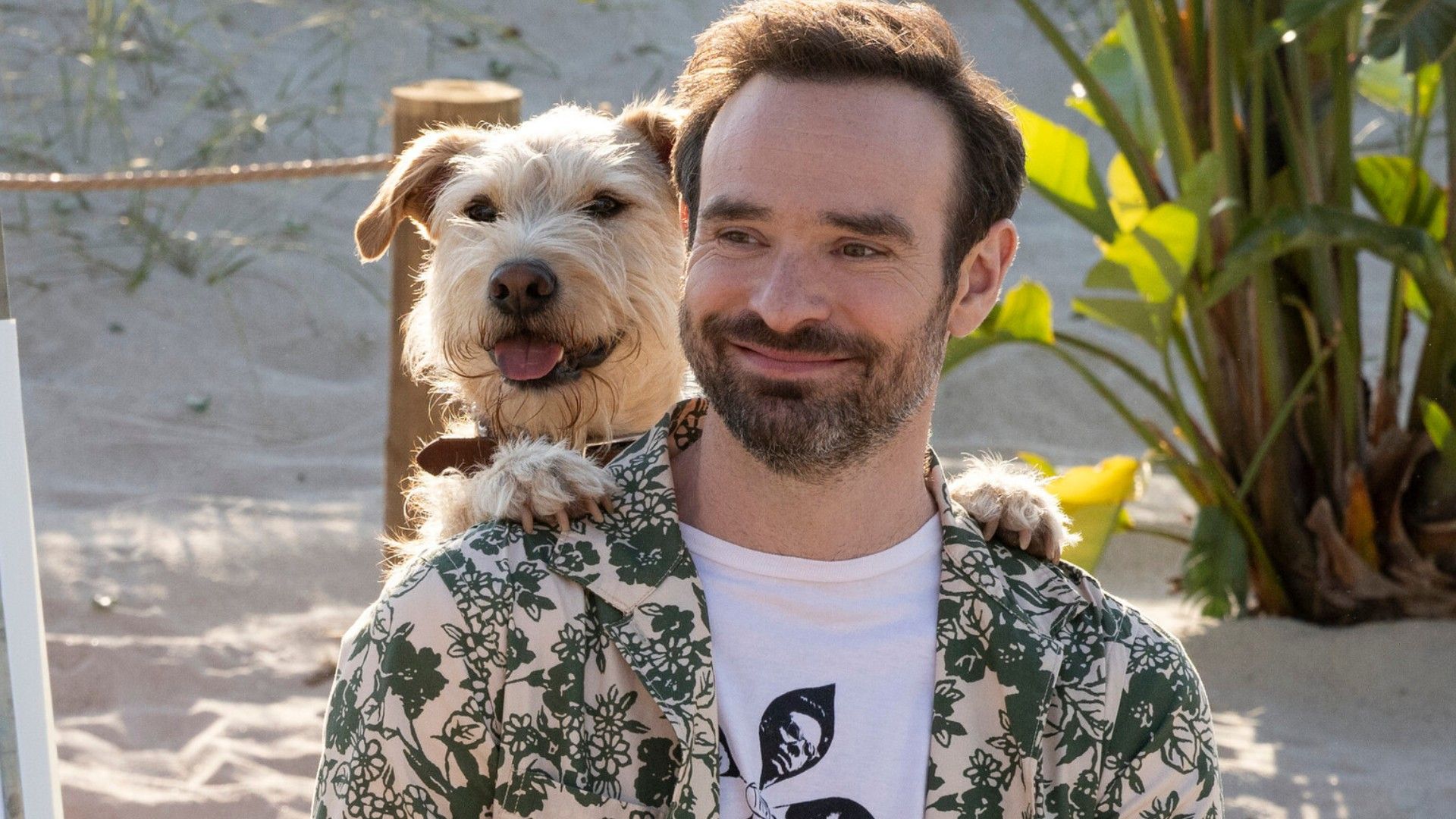 Charlie Cox's new Prime Video comedy becomes a streaming hit despite dismal 33% RT score