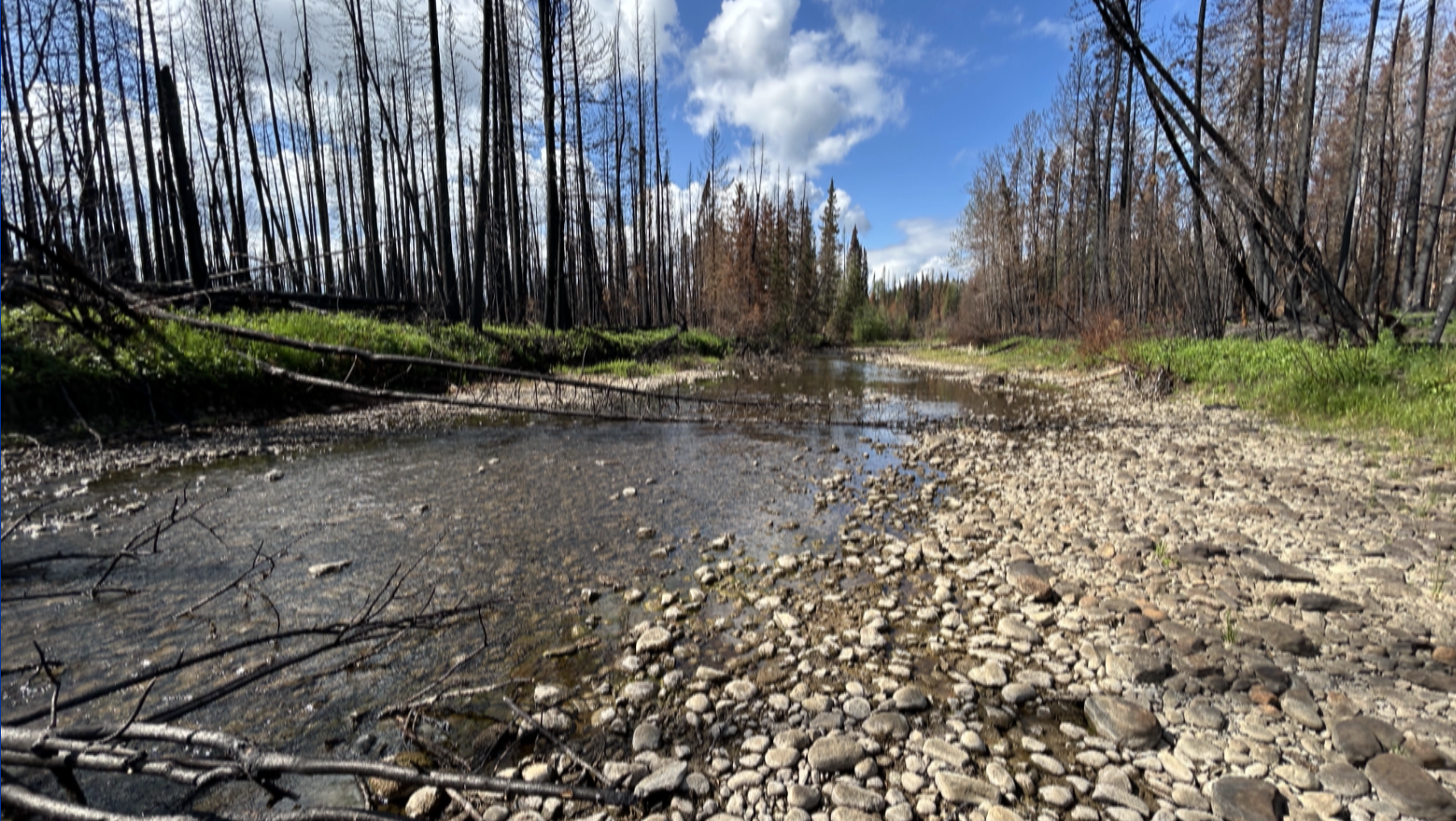 Drought Emergency In Dawson Creek