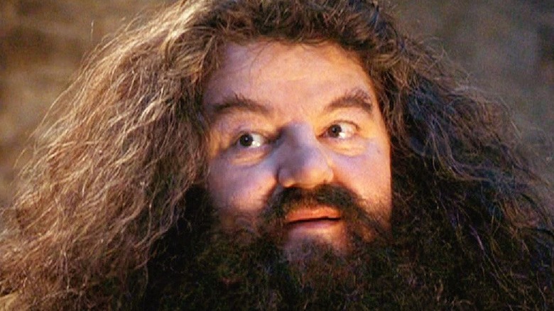 Harry Potter: Hagrid's pets and creature friends ranked by likability