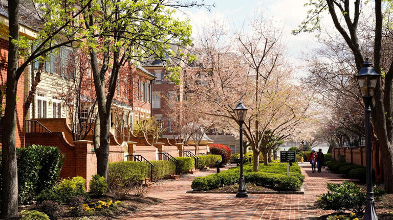 Just outside DC is Virginia's city on the Potomac River, full of art, a ...
