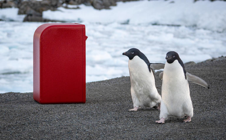 King’s special post box delivery for scientists in the Antarctic