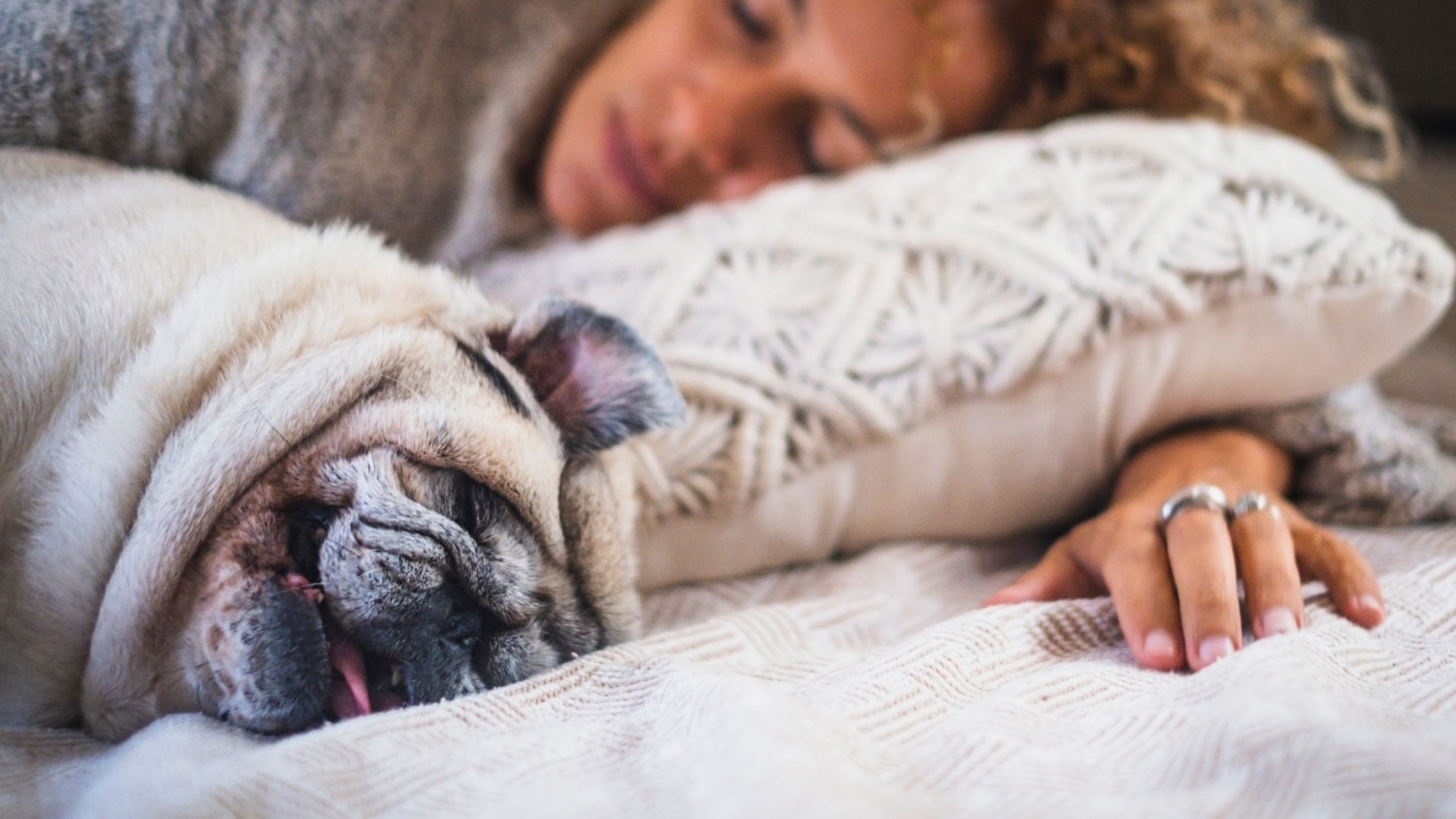 7 unexpected benefits of sleeping with your dog